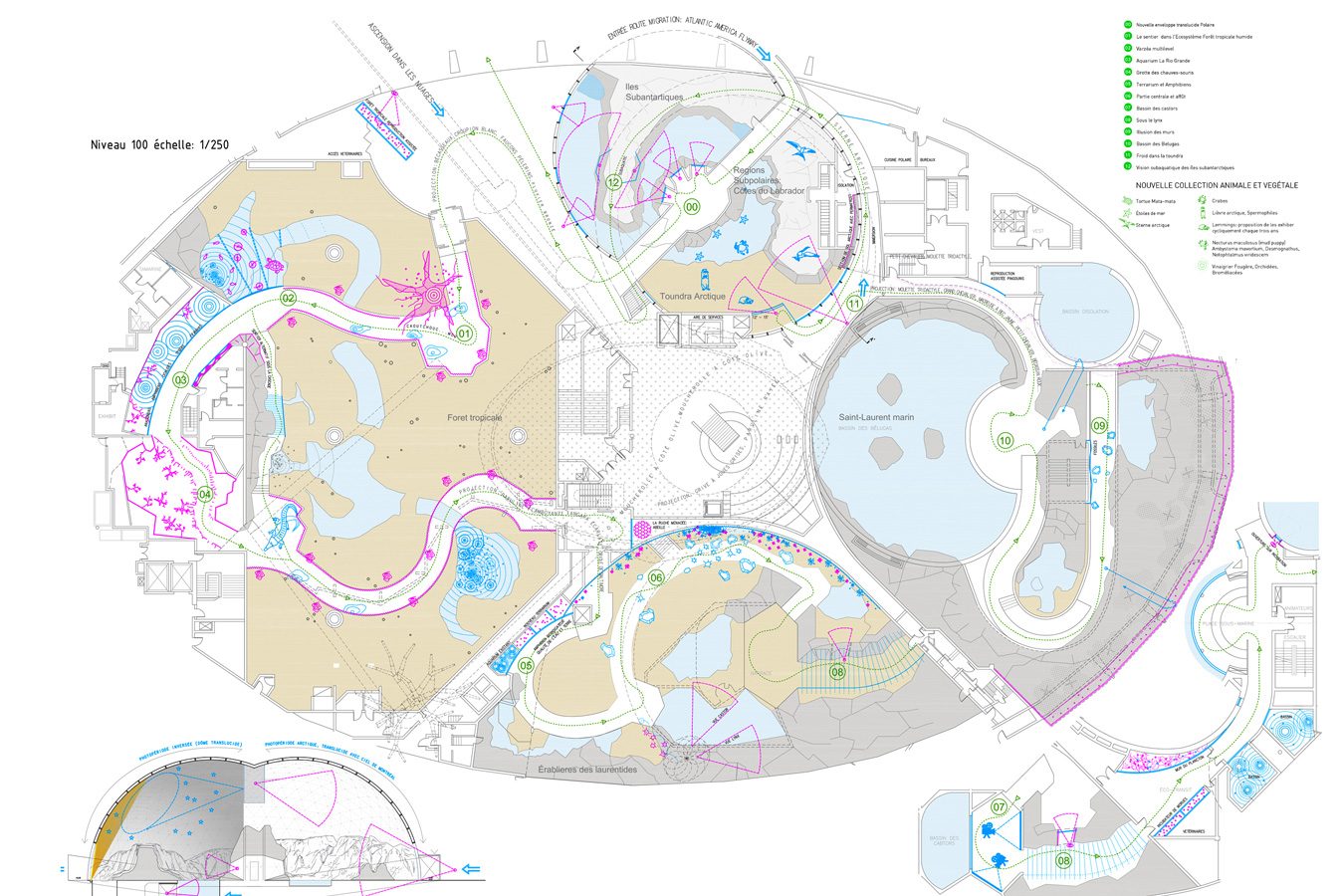 Espace pour la vie - Biodome Design competition | NFOE Inc.