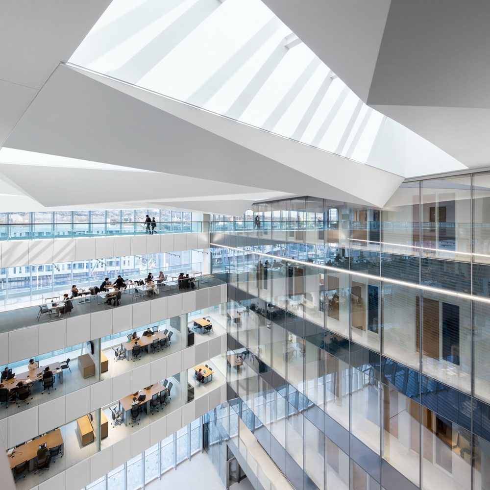 Université de Montréal | NFOE Inc.